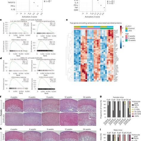 Scrna Seq Reveals Activation Of Innate And Adaptive Immune Systems In