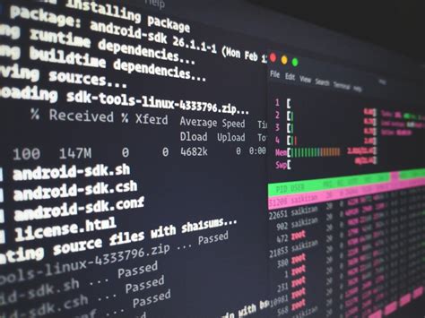 comandos para terminal linux que debes conocer syntonize
