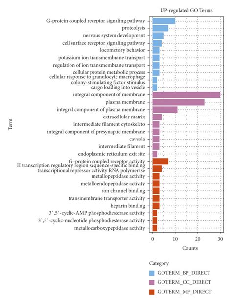 Functional Enrichment Analysis Upregulated Degs A And Downregulated
