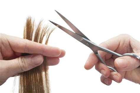 Hair Growth Calculator With Steps Rate Stages Improve