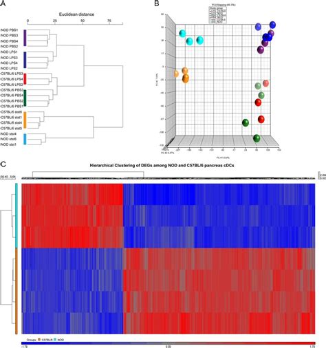 graphical representation of the samples dendrogram of the samples