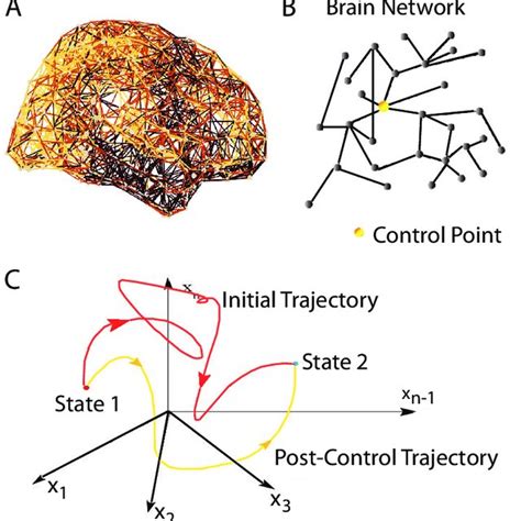 Conceptual Schematic From Brain Networks A We Can Estimate Control