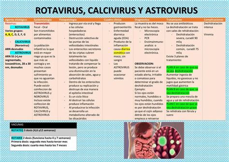 Rotavirus Rodrigo Colque Apaza Udocz