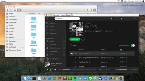 mac os x theme for linux offerentrancement