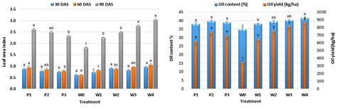 Effect Of Planting Geometry And Weed Management Practices On Leaf Area