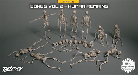 bones vol 2 human bones nanite in props ue marketplace