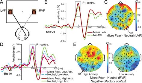 Hemispheric Asymmetry And Visuo Olfactory Integration In Perceiving