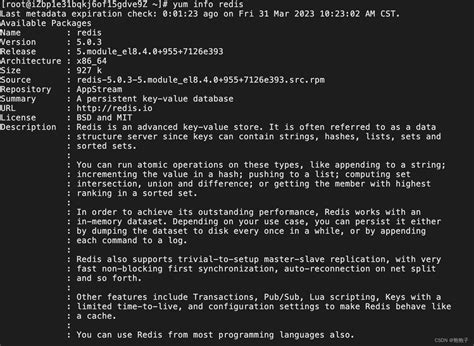 linux服务器 centos查看 安装 启动redis centos 后台启动redis 狍狍子的博客 csdn博客