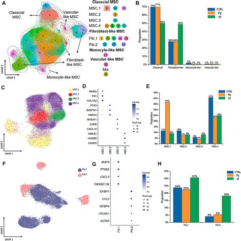 Frontiers Single Cell Atlas Of Dental Pulp Stem Cells Exposed To The