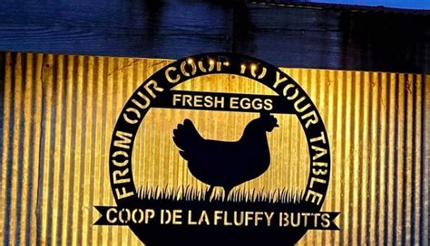 350 Clever Chicken Coop Names For Every Coop On The Planet Chicken Fans