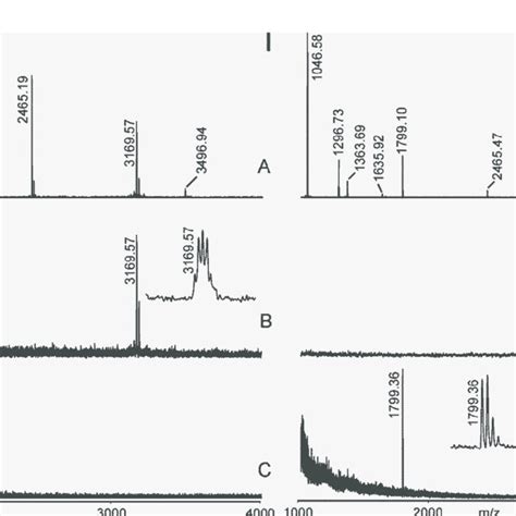 Maldi Tof Mass Spectra Of Peptide Mixtures Prior To And After Epitope