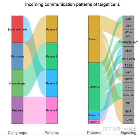 细胞通讯分析（单细胞测序）———cellchat（homo、mus） 知乎