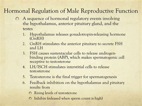 Ppt Male Reproductive System Powerpoint Presentation Free Download