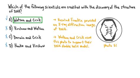 Question Video Identifying The Scientists Who Discovered The Structure
