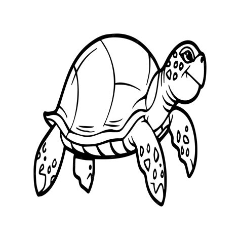Páginas Para Colorear Tortuga De Mar Contorno De Tortuga De Mar Para