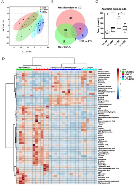 Targeted Plasma Metabolomics Analysis Of Bcs1l G G Mice On Standard And