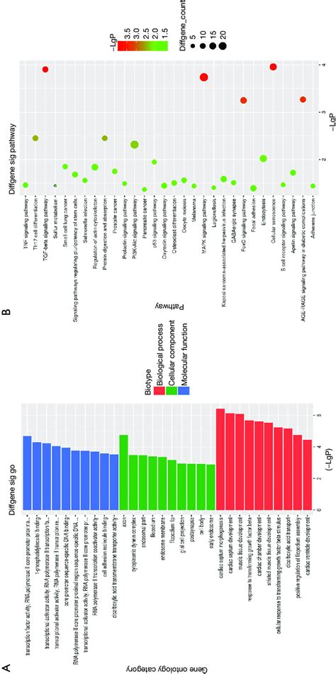 Go Functional Enrichment Map And Kegg Pathway Enrichment Map Of Target