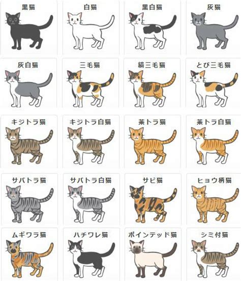 猫の模様はどんな種類がありますか？できるだけたくさん、できれば説明もお願いし Yahoo 知恵袋 Cats