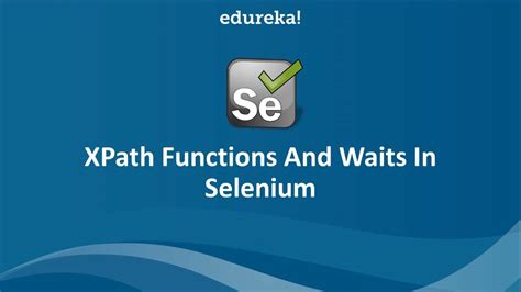 xpath functions and waits selenium with java basics to