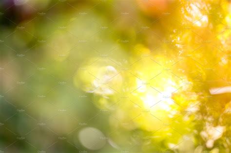 green bokeh background blur blurred image of garden in sunny day