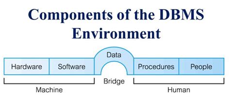 introduction to dbms components apllication characteristics