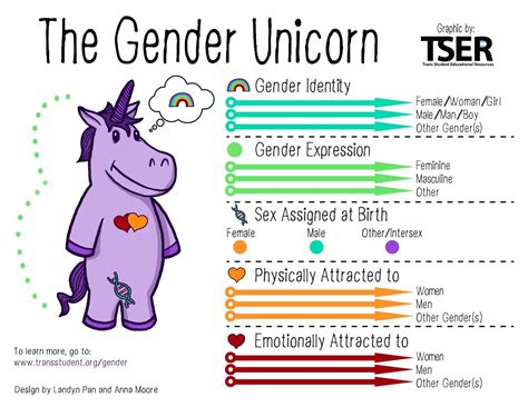 A Diferença Entre Sexo E Sexualidade Reachout Australia Blogging Place