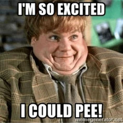 50 Best Im So Excited Memes