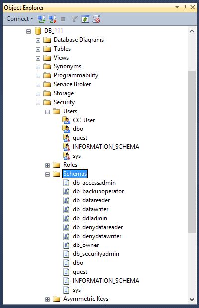 sql server the database principal owns a schema in the database and