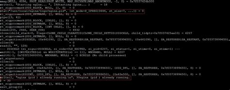 failed to parse pid from file run nginx pid invalid argument 程序员大本营