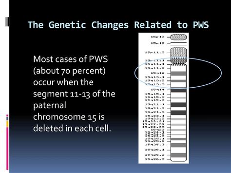 Ppt Prader Willi Syndrome Powerpoint Presentation Free Download Id