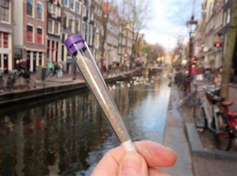 Amsterdam Drug Tour Red Light Districtamsterdam Red Light District Tours