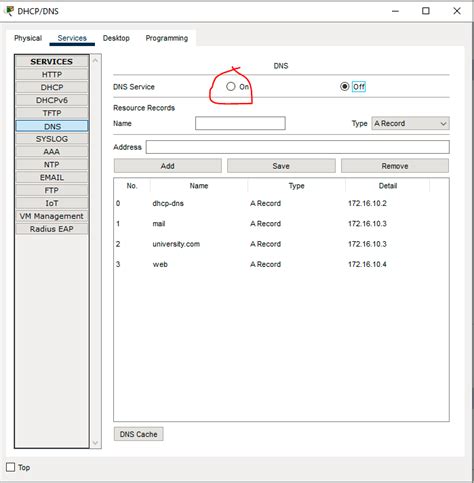 solved packet tracer problem sample page on server not resolving