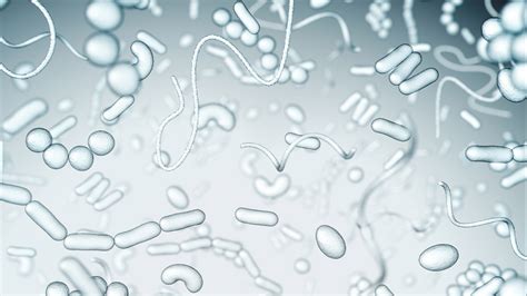 Complete Sequence Verification Of Plasmid Dna Using The Oxford Nanopore
