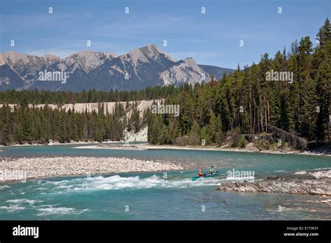 Couple Paddle Canoe Through Rapids On Kootenay River Kootenay National