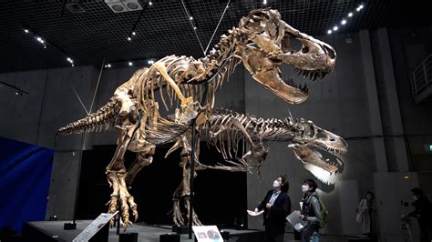 特別展「恐竜博 2023」が報道公開：トレンド動画：時事ドットコム