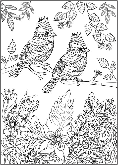 Cra Z Art Timeless Creations Adult Coloring Book Dreams Take Flight