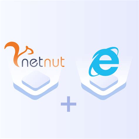 how to configure proxy settings on internet explorer netnut