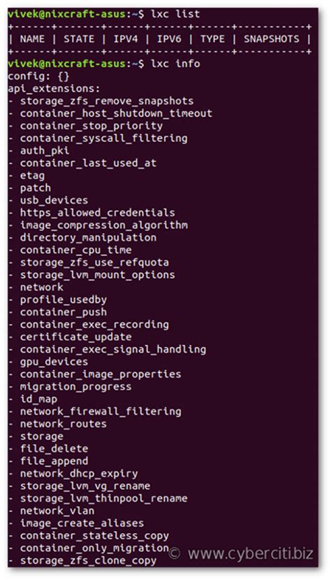 install lxd pure container hypervisor on ubuntu 18 04 lts nixcraft