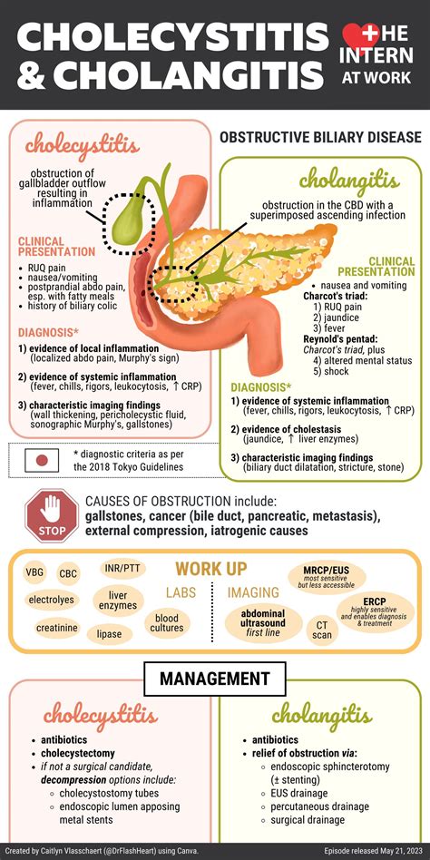 Cholecystitis And Cholangitis — The Intern At Work
