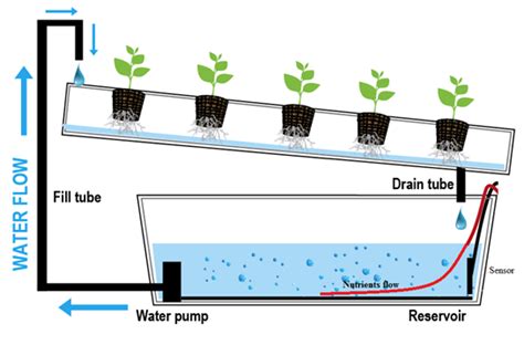 automization of hydroponics mechatronics exercises aalto university