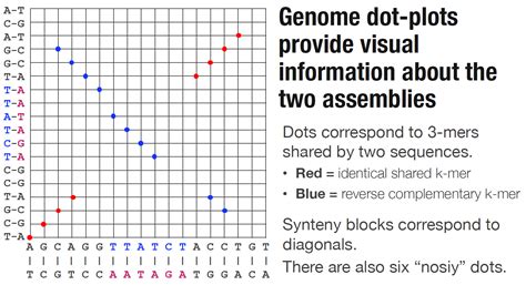 11 Genome Assembly 2 Bch709 Introduction To Bioinformatics