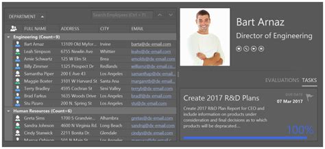 skins winforms controls devexpress documentation