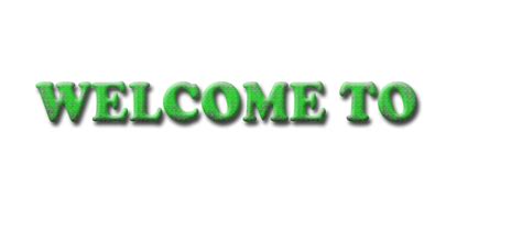 Mca Computer Institute And Management System