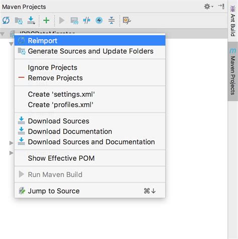java maven package works but intellij s build fails