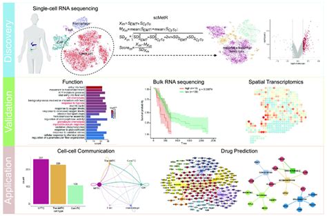 Analysis Workflow For Pancreatic Ductal Adenocarcinoma Pdac Data