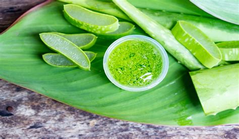 Aloe Vera Benefits Health Benefits Of Aloe Vera