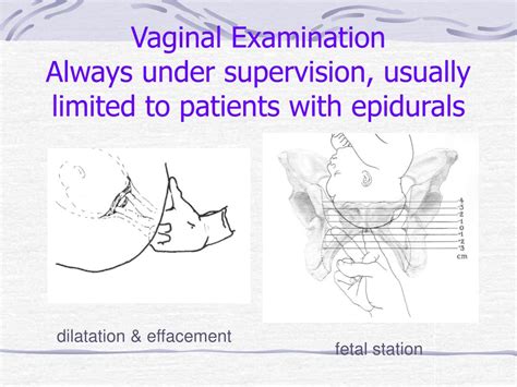 Ppt Welcome To Ob Gyn Powerpoint Presentation Free Download Id 24062