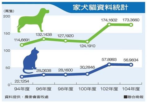 國人不生小孩養貓狗 10年增加百萬隻 遠見雜誌
