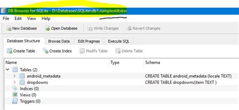 [solved] my db records are not showing in sqlite browser 9to5answer