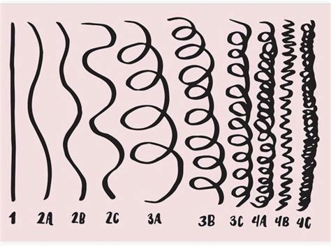 Whats My Curly Hair Type And Why Does It Matter — Virgo Texture Salon